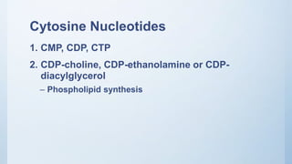 Nucleotide chemistry.pptx