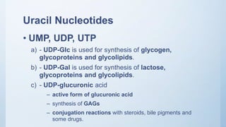 Nucleotide chemistry.pptx
