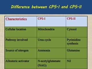Nucleotide chemistry and metabolism with ece | PPTX
