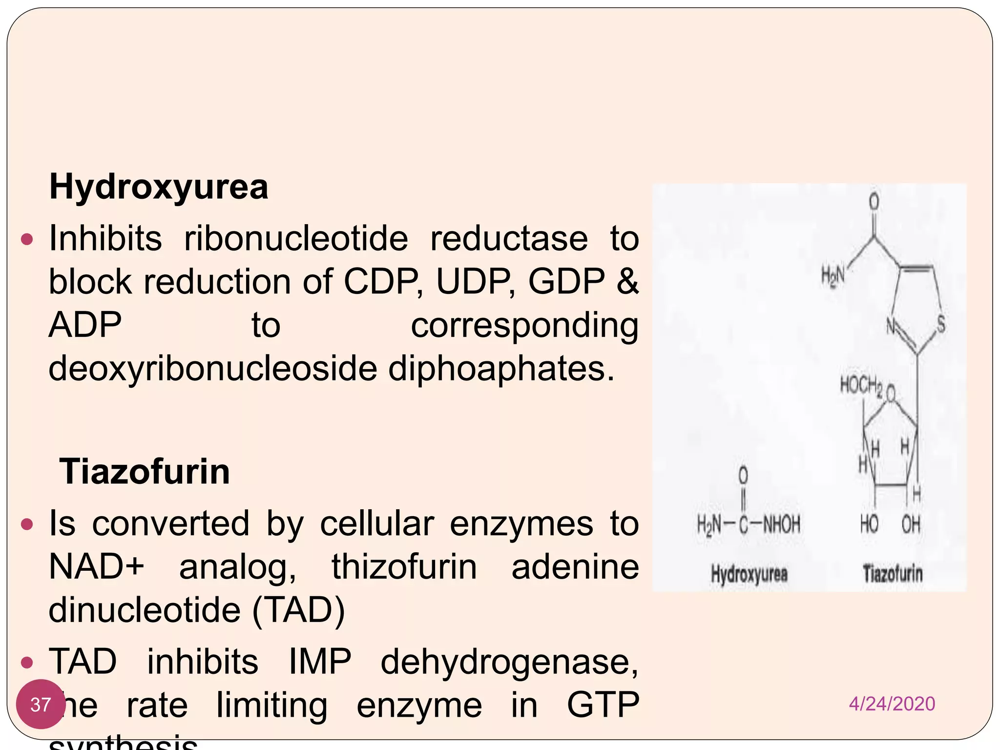 Nucleotide chemistry & metabolism | PPTX