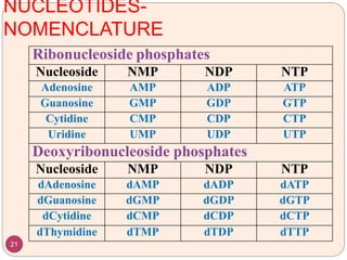 Nucleotide chemistry & metabolism | PPTX