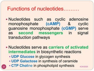 Nucleotide chemistry & metabolism | PPTX