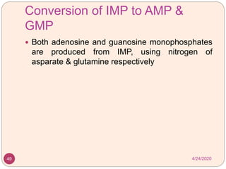 Nucleotide chemistry & metabolism | PPTX