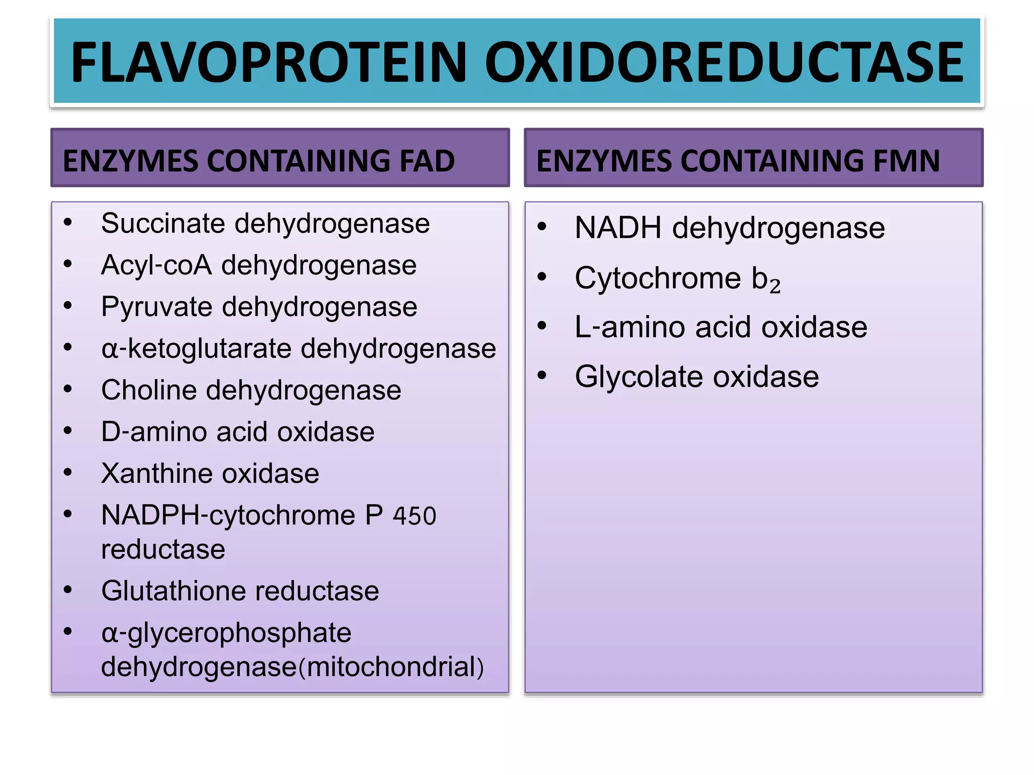 BIOSYNTHESIS OF NUCLEOTIDE COENZYMES AND THEIR ROLE IN METABOLISM ...