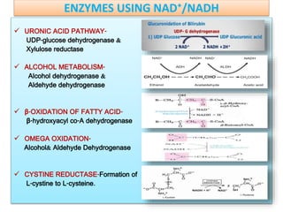 BIOSYNTHESIS OF NUCLEOTIDE COENZYMES AND THEIR ROLE IN METABOLISM | PPTX