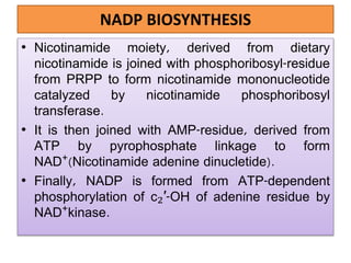 BIOSYNTHESIS OF NUCLEOTIDE COENZYMES AND THEIR ROLE IN METABOLISM | PPTX
