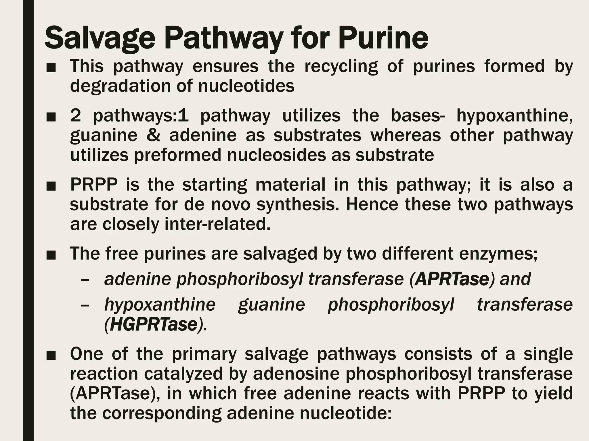 Nucleotide metabolism | PPTX