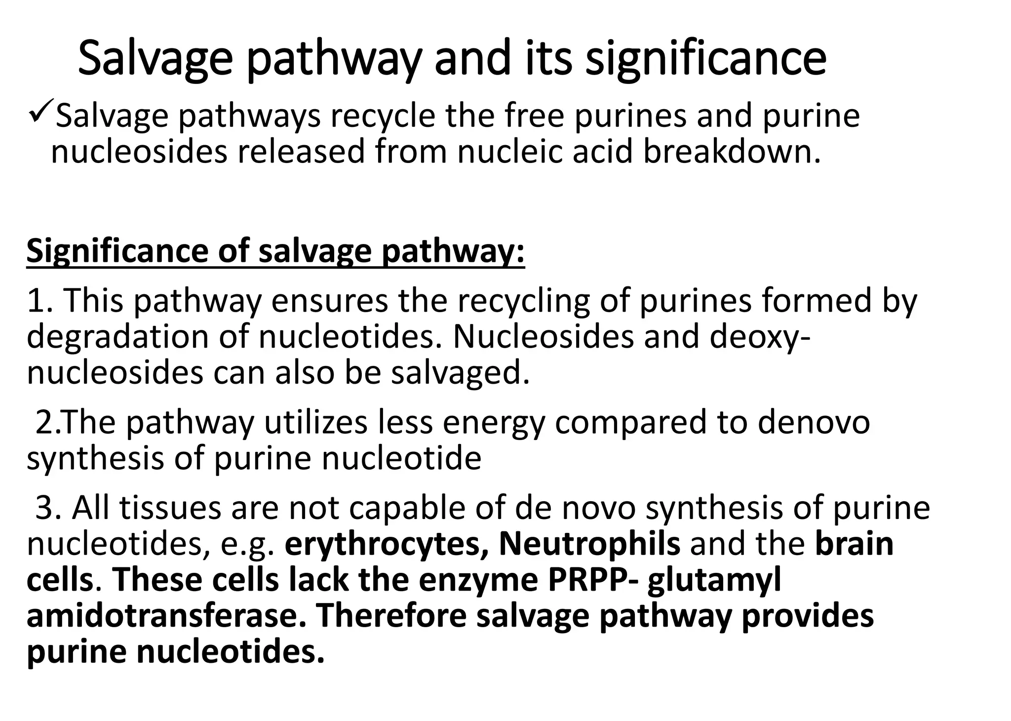 Nucleotide metabolism | PPTX