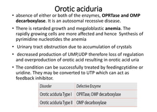 Orotic Aciduria