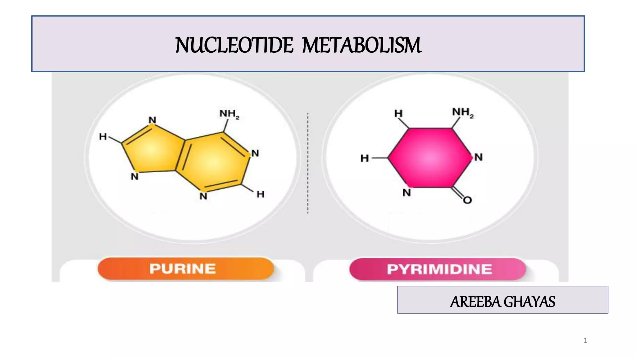 Nucleotide metabolism (purine and pyrimidine synthesis) | PPTX