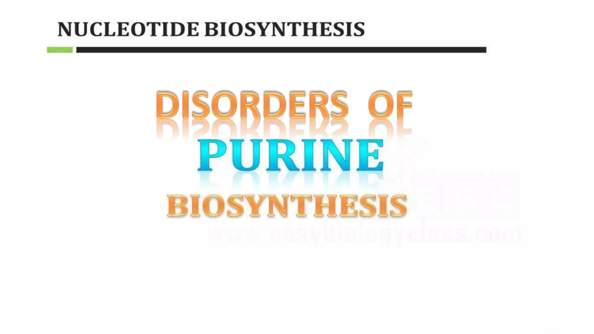 Nucleotide metabolism (purine and pyrimidine synthesis) | PPTX