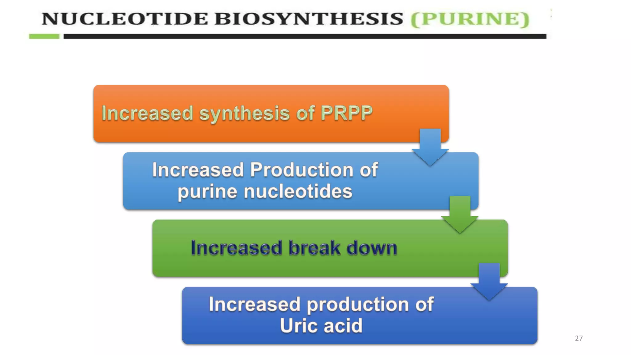 Nucleotide metabolism (purine and pyrimidine synthesis) | PPTX