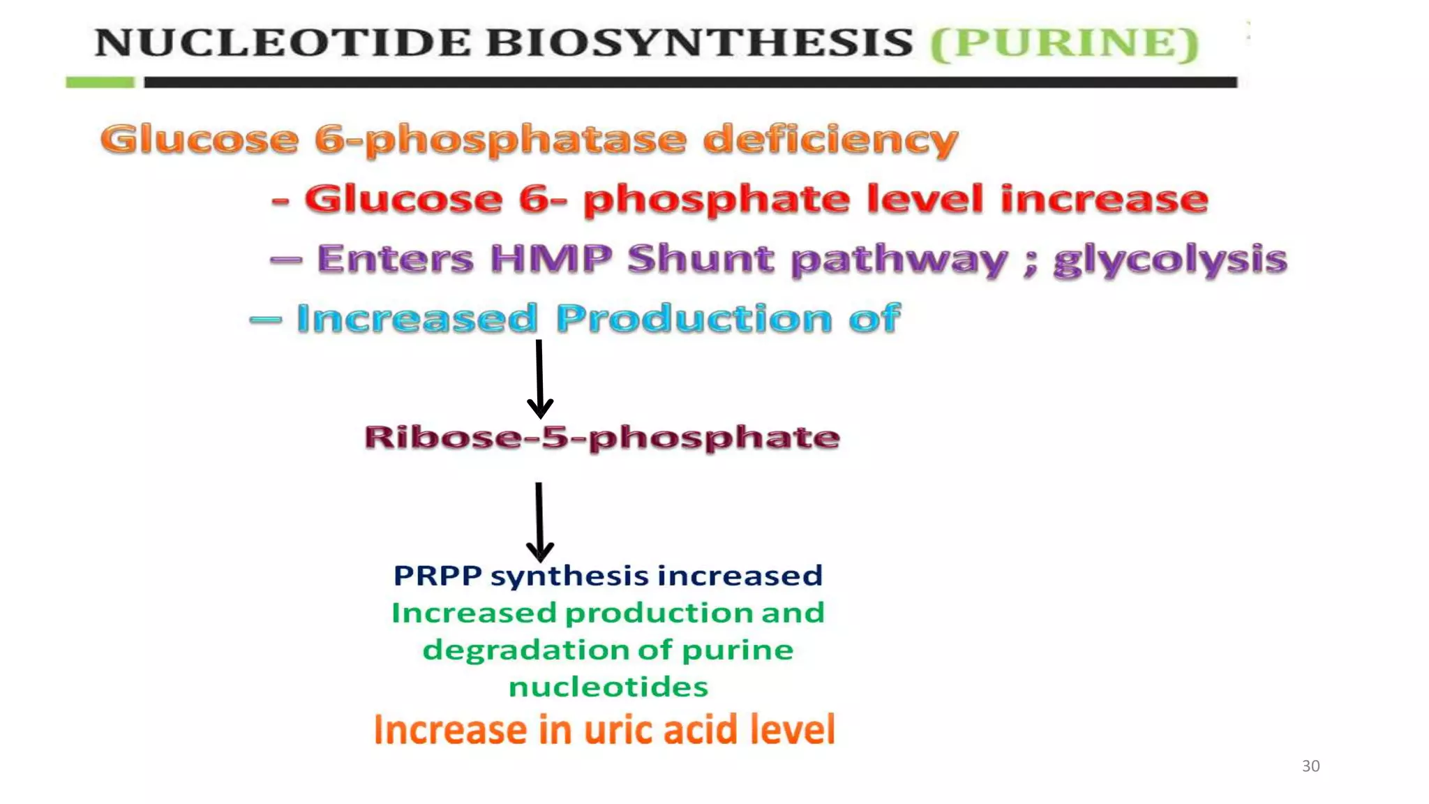 Nucleotide metabolism (purine and pyrimidine synthesis) | PPTX
