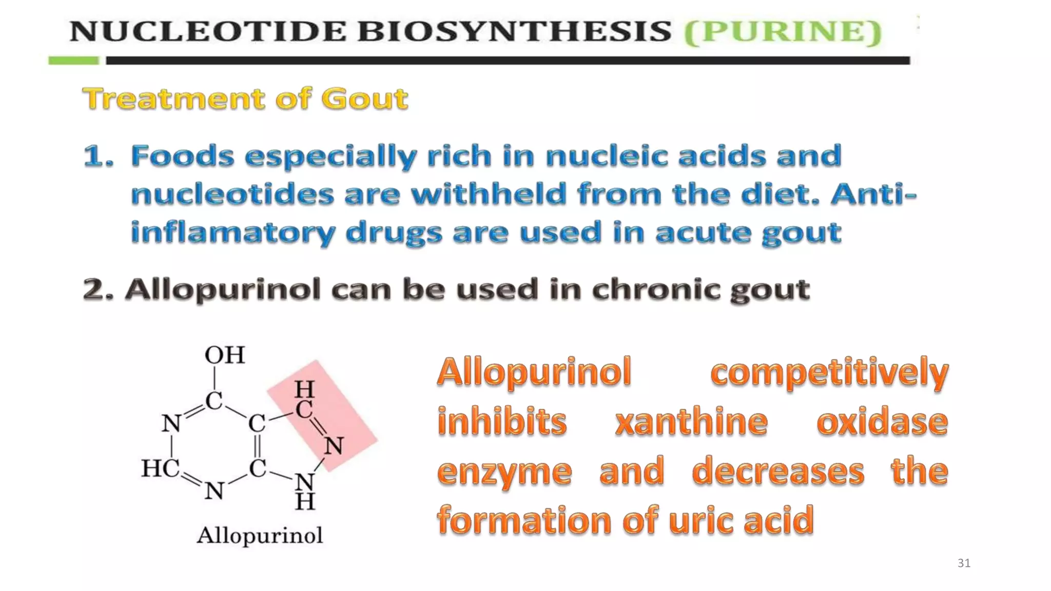 Nucleotide metabolism (purine and pyrimidine synthesis) | PPTX