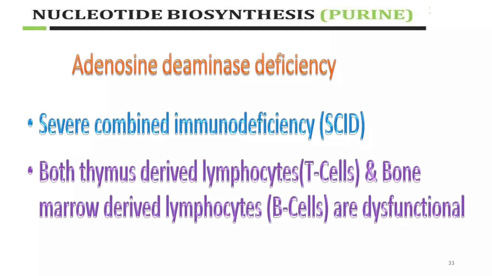 Nucleotide metabolism (purine and pyrimidine synthesis) | PPTX