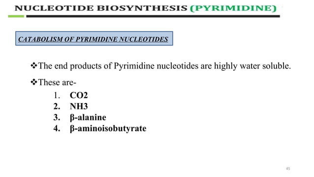 Nucleotide metabolism (purine and pyrimidine synthesis) | PPTX | Endocrine and Metabolic ...