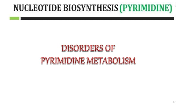Nucleotide metabolism (purine and pyrimidine synthesis) | PPTX | Endocrine and Metabolic ...