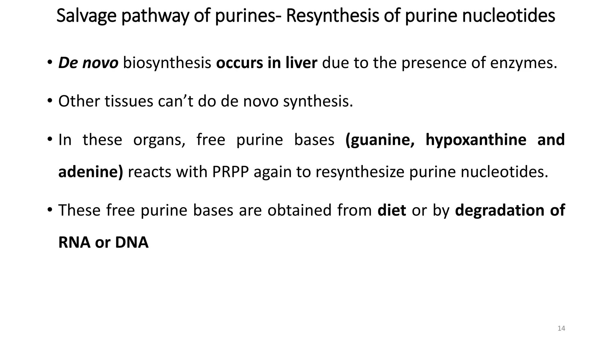 Nucleotide Metabolism.biochemistryblecture.pptx