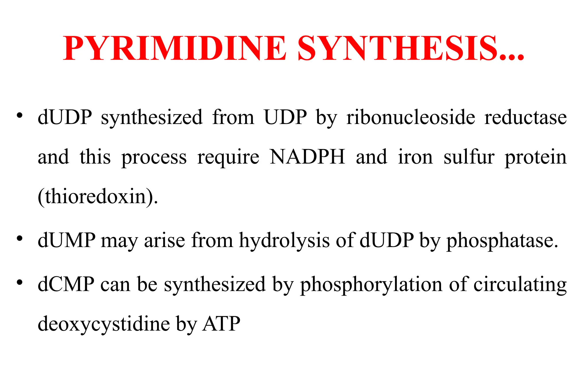 nucleotide metabolism purine and pyrimidine synthesis.pptx