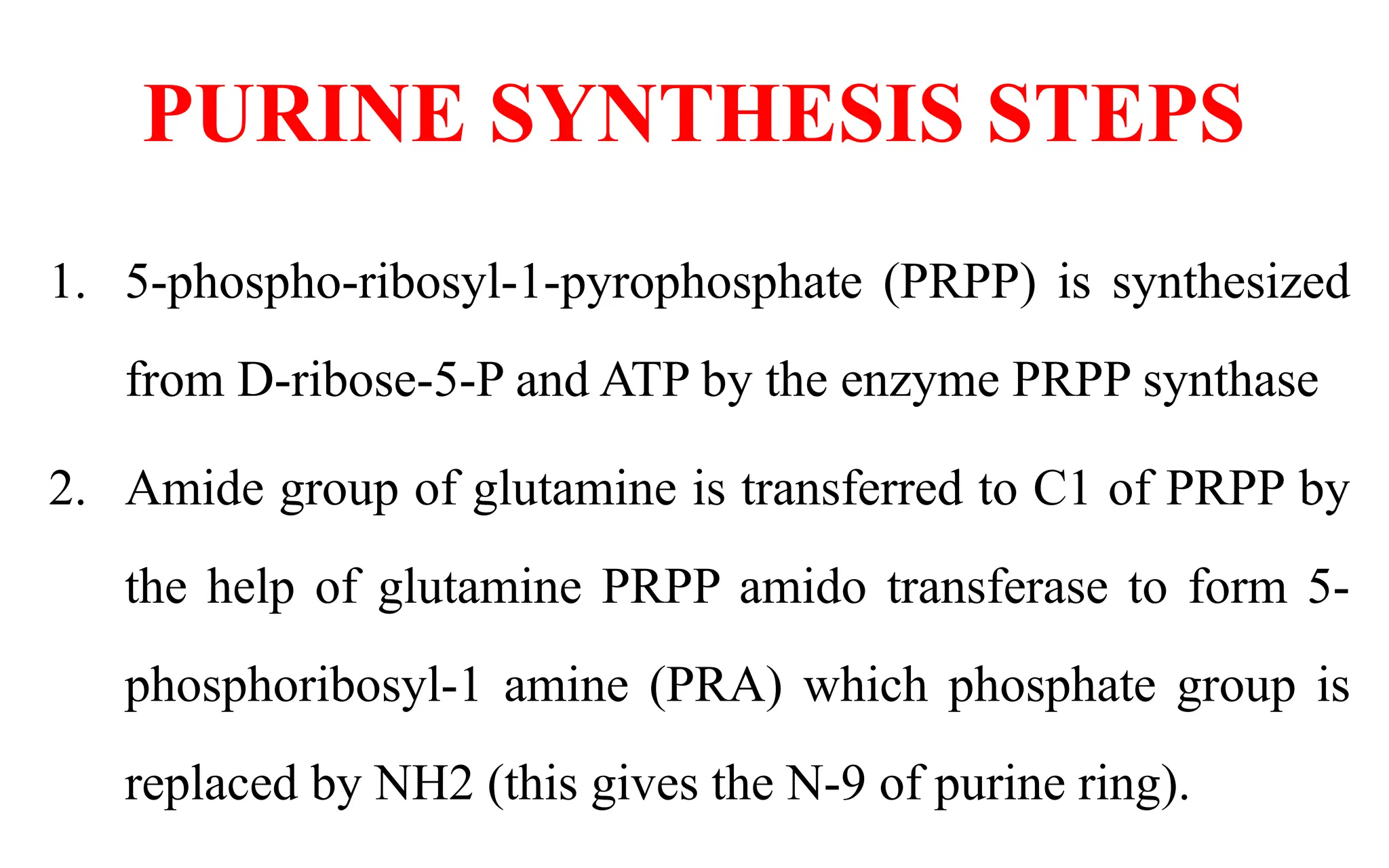 nucleotide metabolism purine and pyrimidine synthesis.pptx