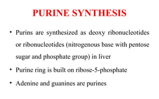 nucleotide metabolism purine and pyrimidine synthesis.pptx