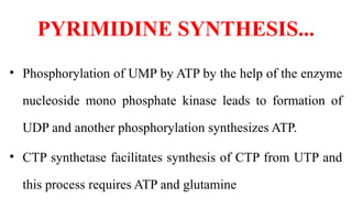 nucleotide metabolism purine and pyrimidine synthesis.pptx