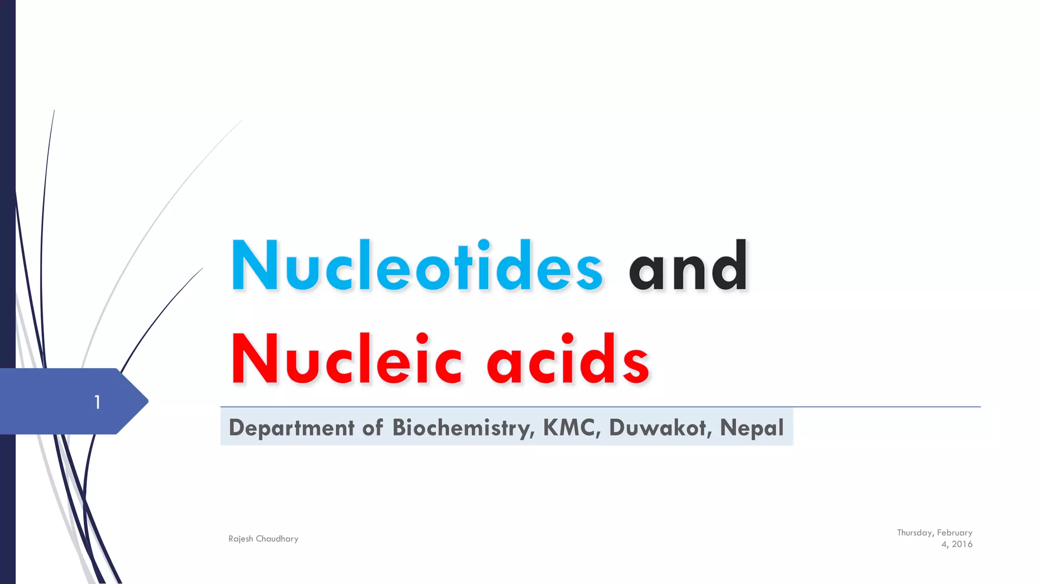 Nucleotides | PDF