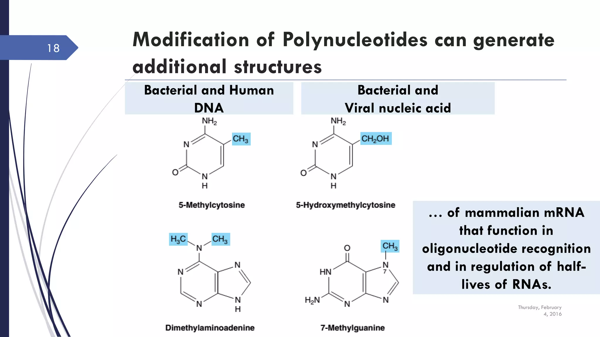 Nucleotides | PDF
