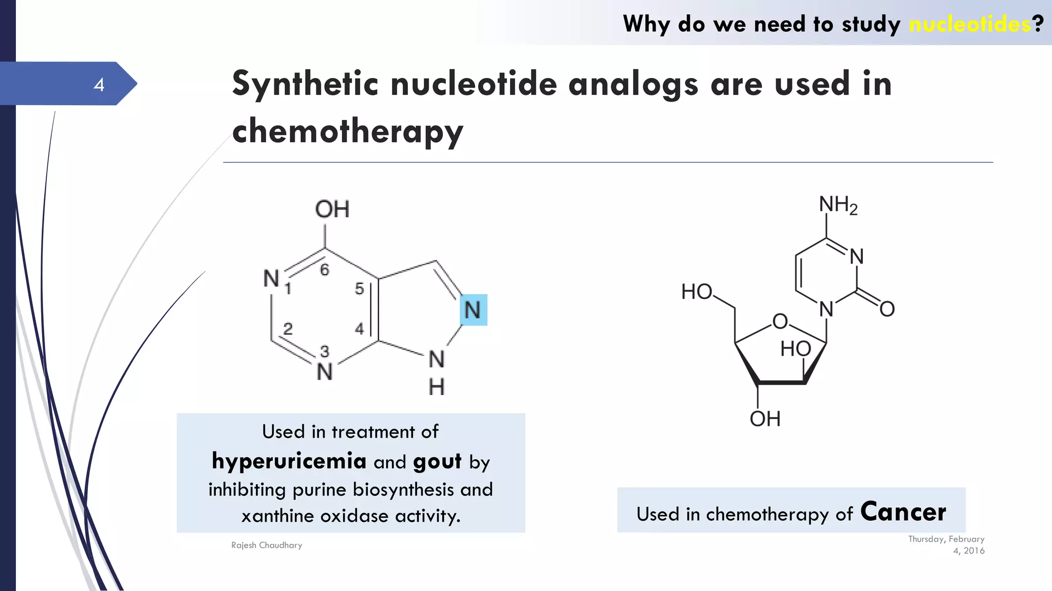 Nucleotides | PDF