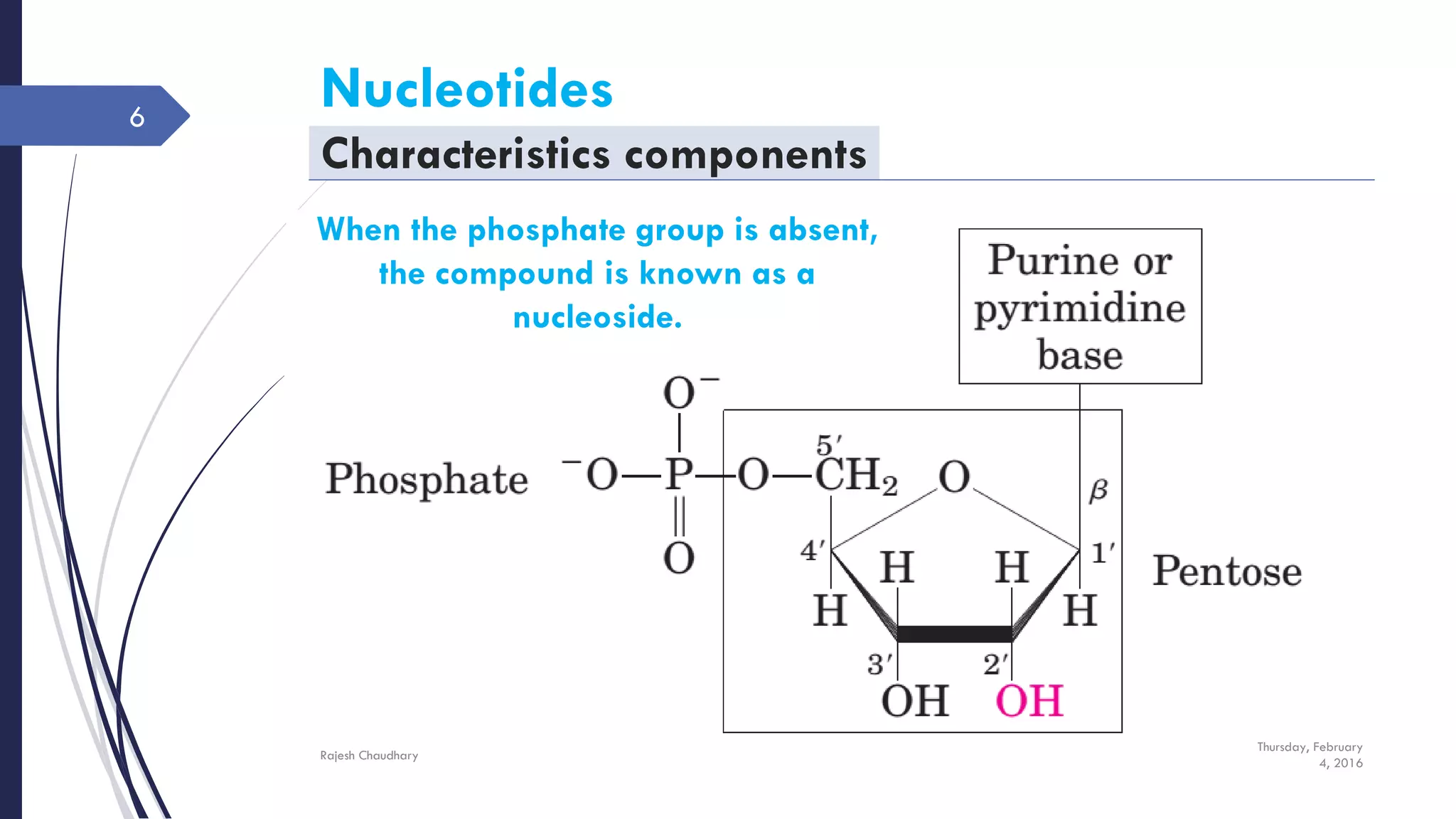 Nucleotides | PDF
