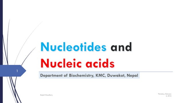Nucleotides | PDF | Chemistry | Science