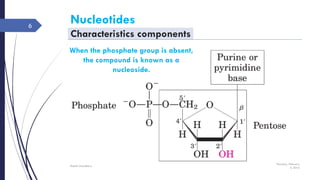 Nucleotides | PDF | Chemistry | Science