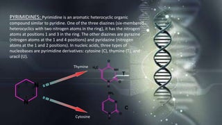 Nucleotides | PPTX