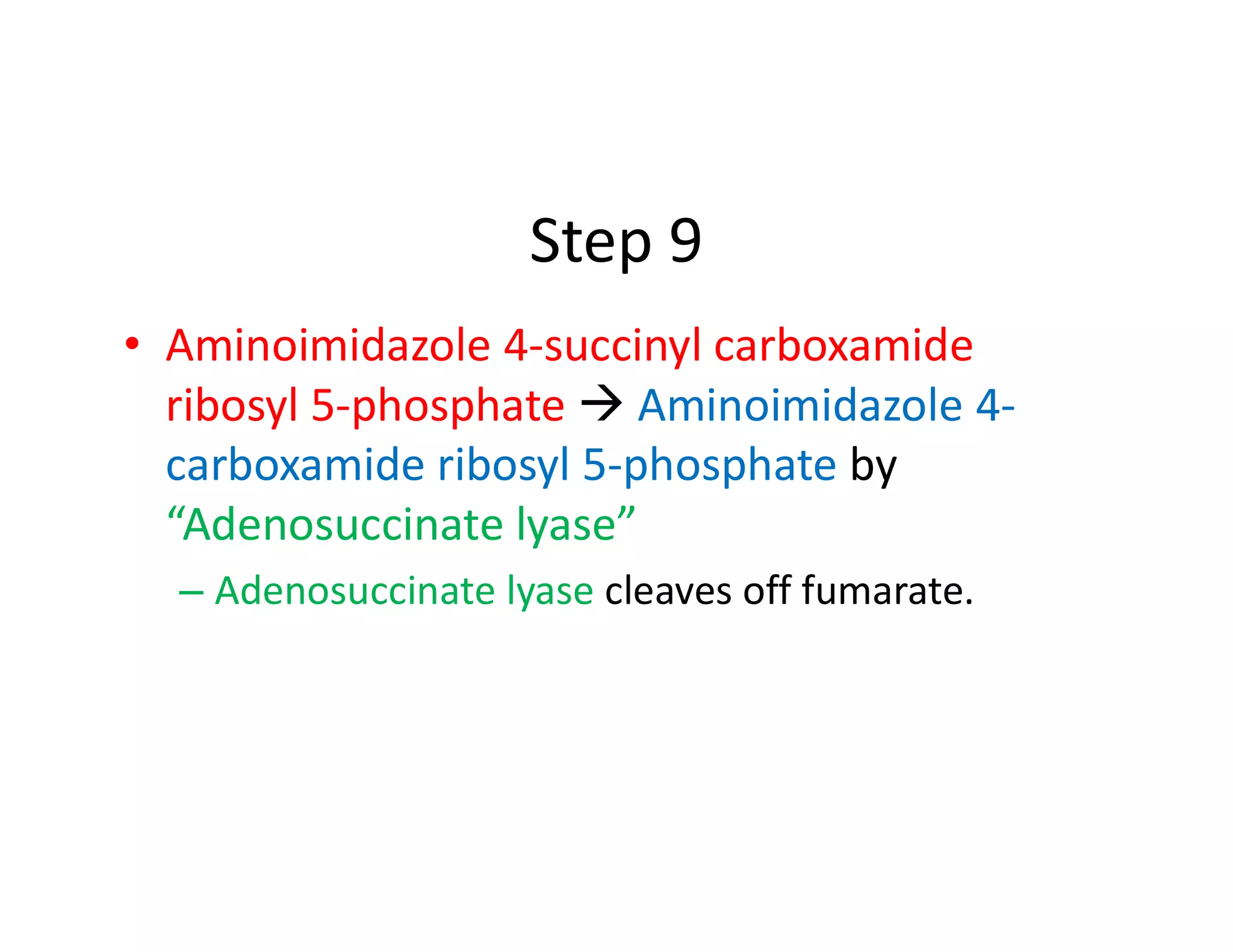 Biosynthesis of Purine and Pyrimidine Nucleotides | PDF