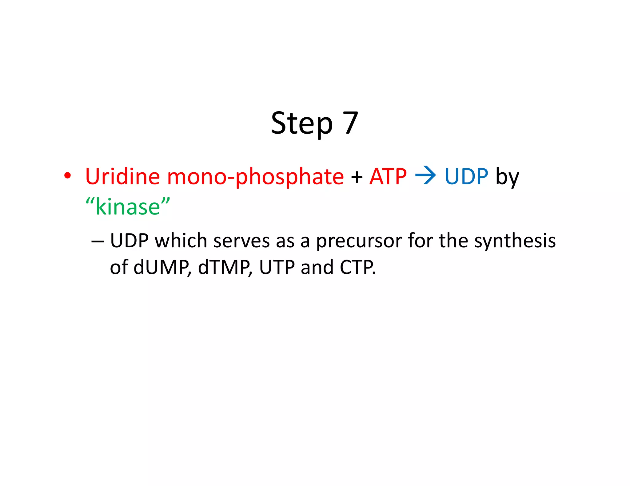 Biosynthesis of Purine and Pyrimidine Nucleotides | PDF