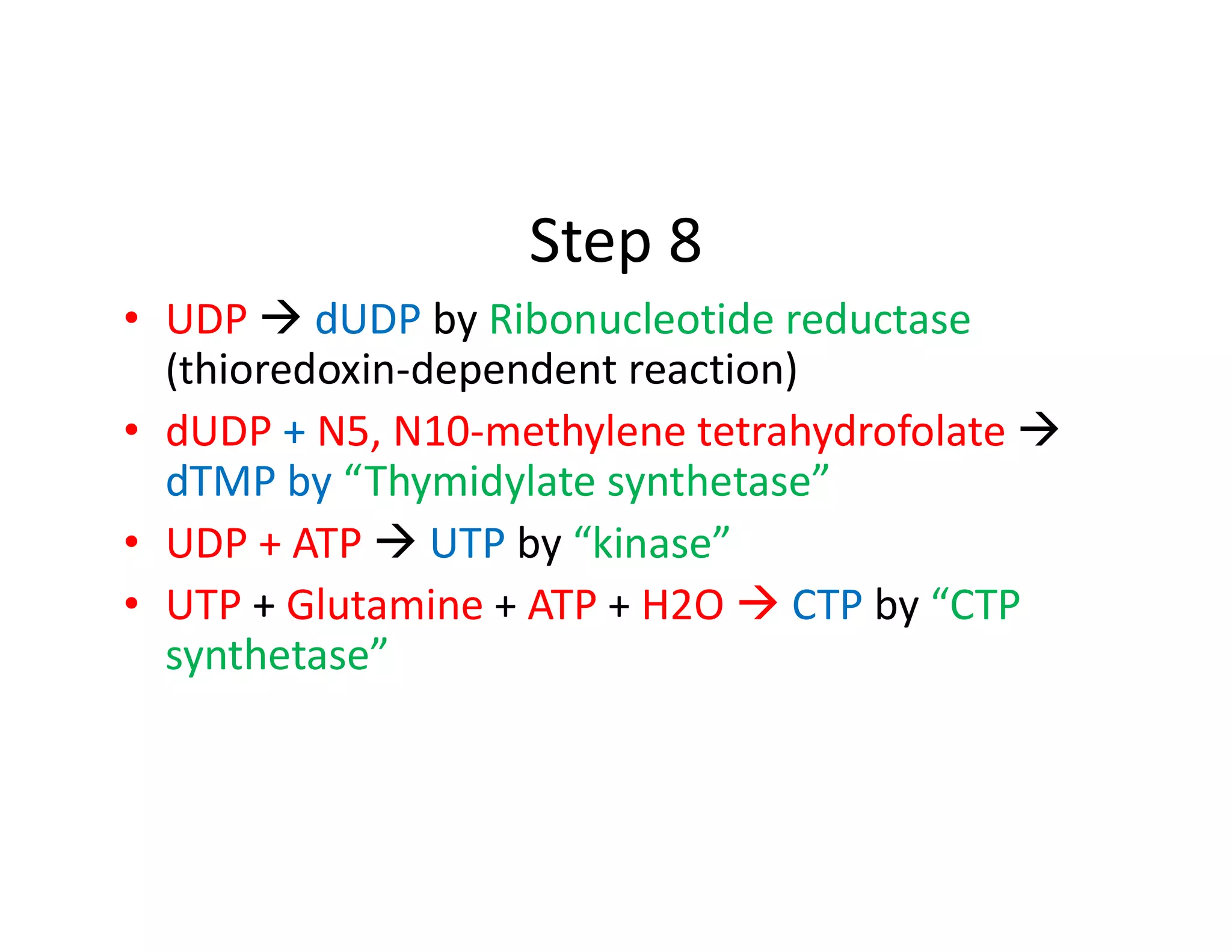 Biosynthesis of Purine and Pyrimidine Nucleotides | PDF