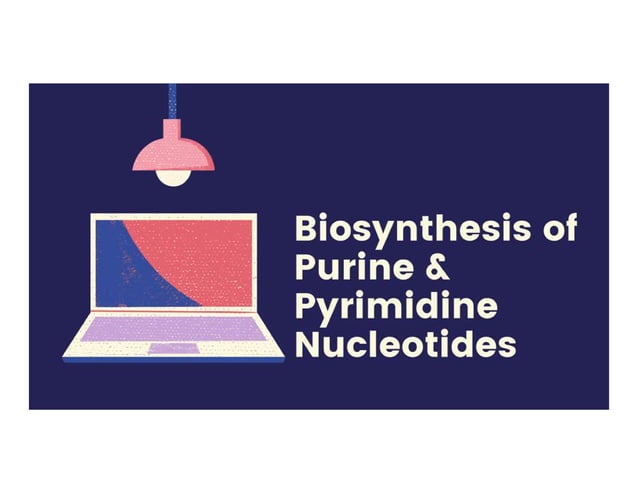 Biosynthesis of Purine and Pyrimidine Nucleotides | PDF | Endocrine and Metabolic Diseases ...