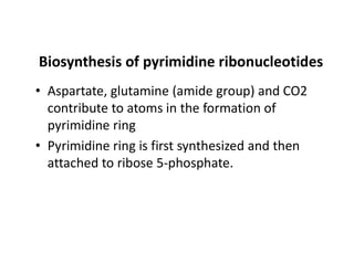 Biosynthesis of Purine and Pyrimidine Nucleotides | PDF