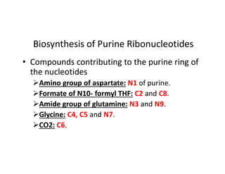 Biosynthesis of Purine and Pyrimidine Nucleotides | PDF