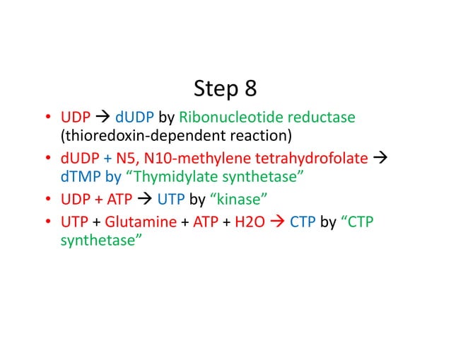 Biosynthesis of Purine and Pyrimidine Nucleotides | PDF | Endocrine and Metabolic Diseases ...