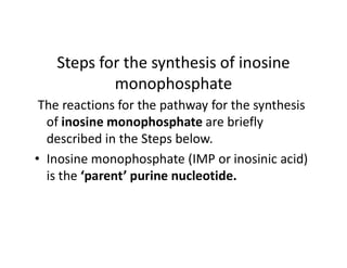 Biosynthesis of Purine and Pyrimidine Nucleotides | PDF