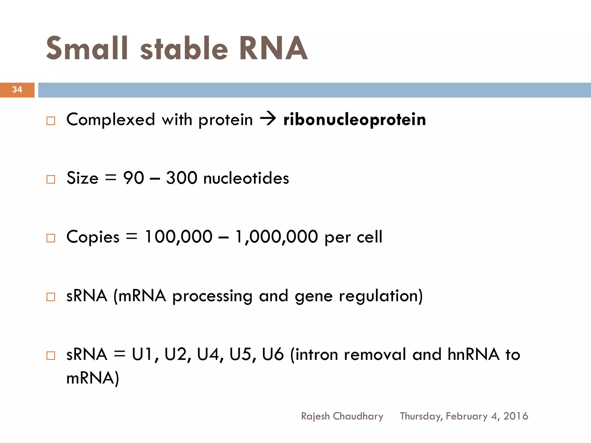 Nucleotides and nucleic acids | PDF