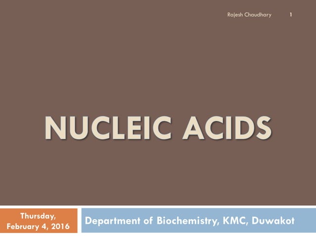 Nucleotides and nucleic acids | PDF | Chemistry | Science