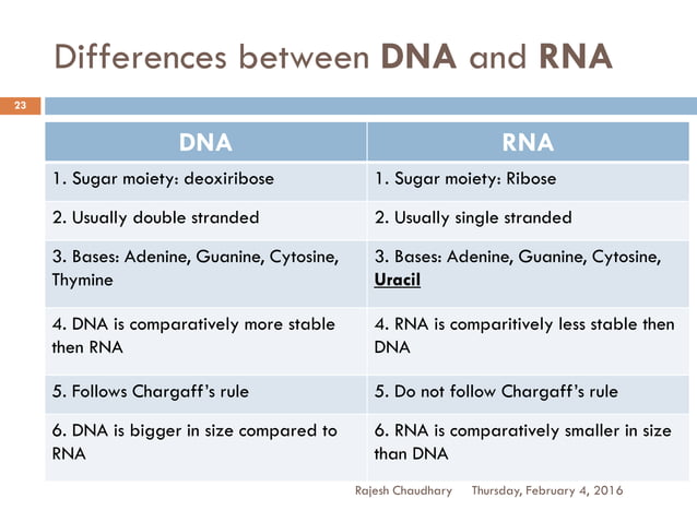 Nucleotides and nucleic acids | PDF | Chemistry | Science