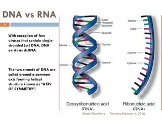Nucleotides and nucleic acids | PDF