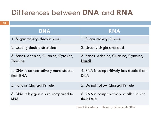 Differences Between Dna And Rna Microbiology Notes Education에 있는
