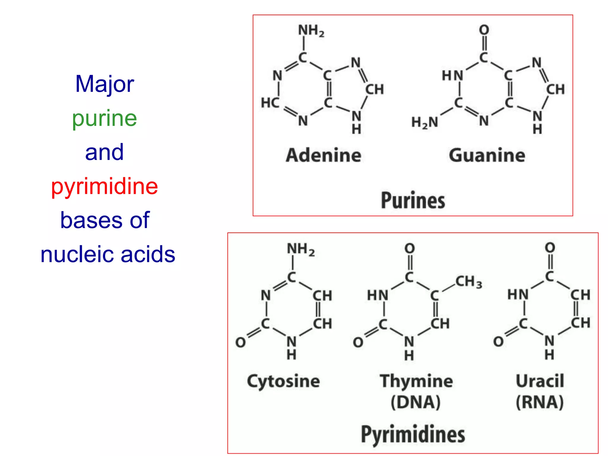 Nucleotides and nucleic acids | PPT