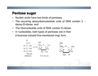Nucleotides an introduction | PDF