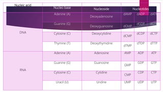 Nucleotides as source of energy-Biomolecules and bioenergetics | PPT