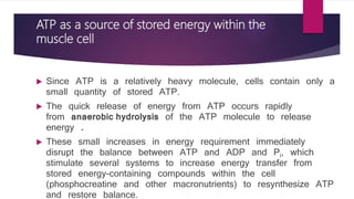 Nucleotides as source of energy-Biomolecules and bioenergetics | PPT
